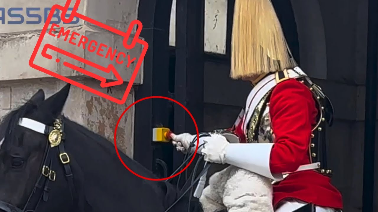 BOTH KING’S GUARDS SMASH EMERGENCY BUZZER FOR HELP! - YouTube