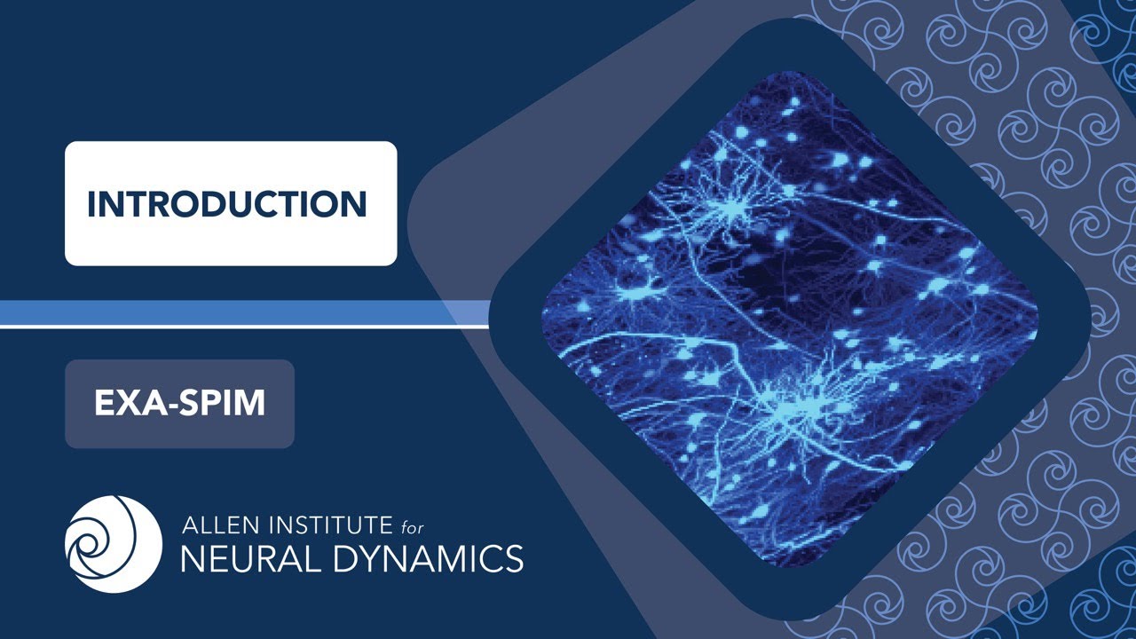 Introduction | ExA-SPIM - YouTube