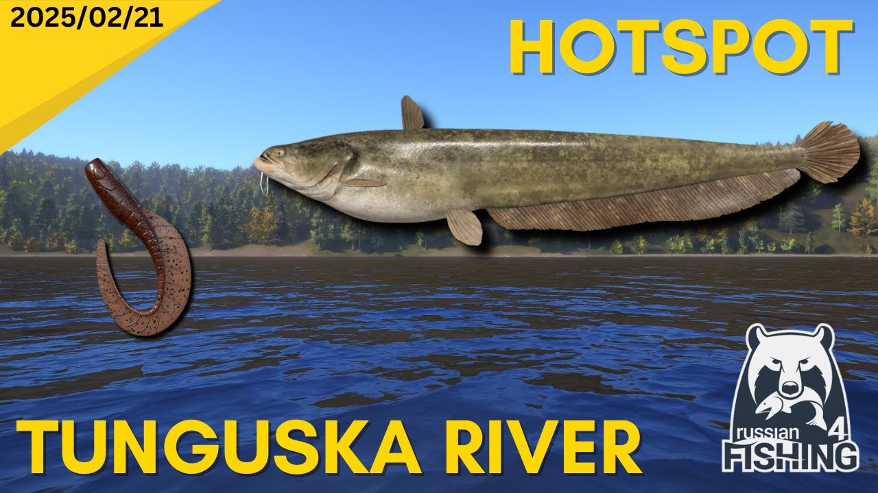 Amur Catfish hotspot - Tunguska RIver - Russian Fishing 4 - YouTube