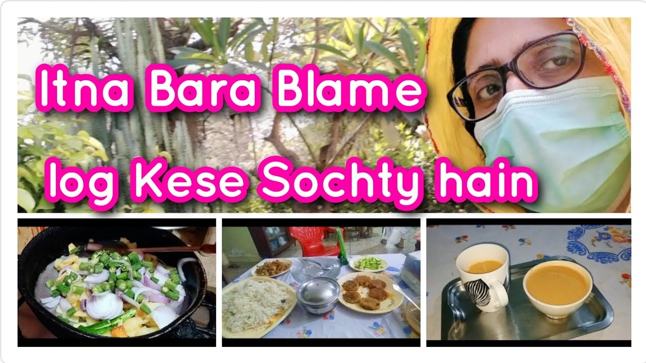 G han me paid promotion k charges leti hon ! itna Bara Blame ||solangi ...