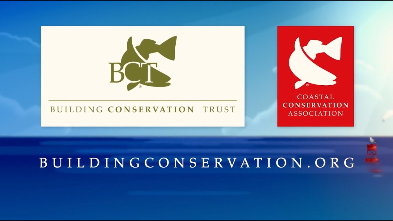 David Strong - Build Conservation Trust Narration - YouTube