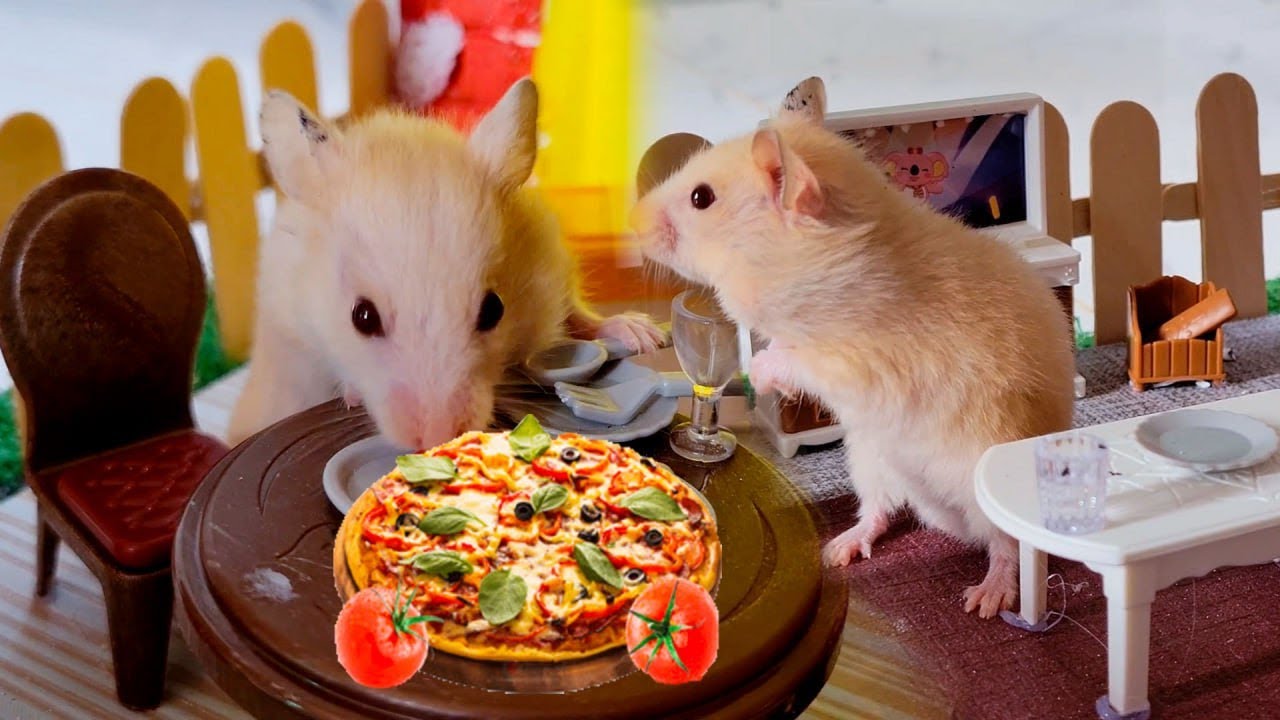 Wow Amazing Hamster Discover How to Make & Eat Pizza By Herself - YouTube