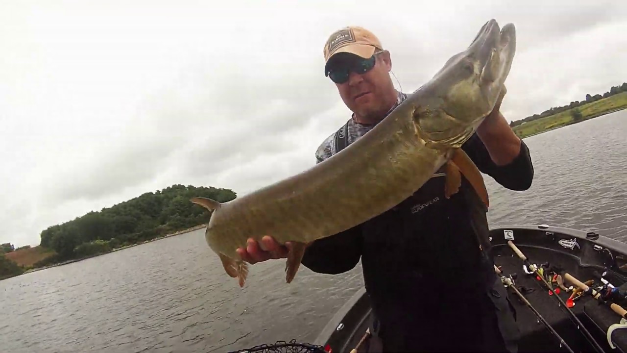 BIG IOWA MUSKIES LOVE LAKE X LURES!!! Fall Fishing in Iowa! - YouTube