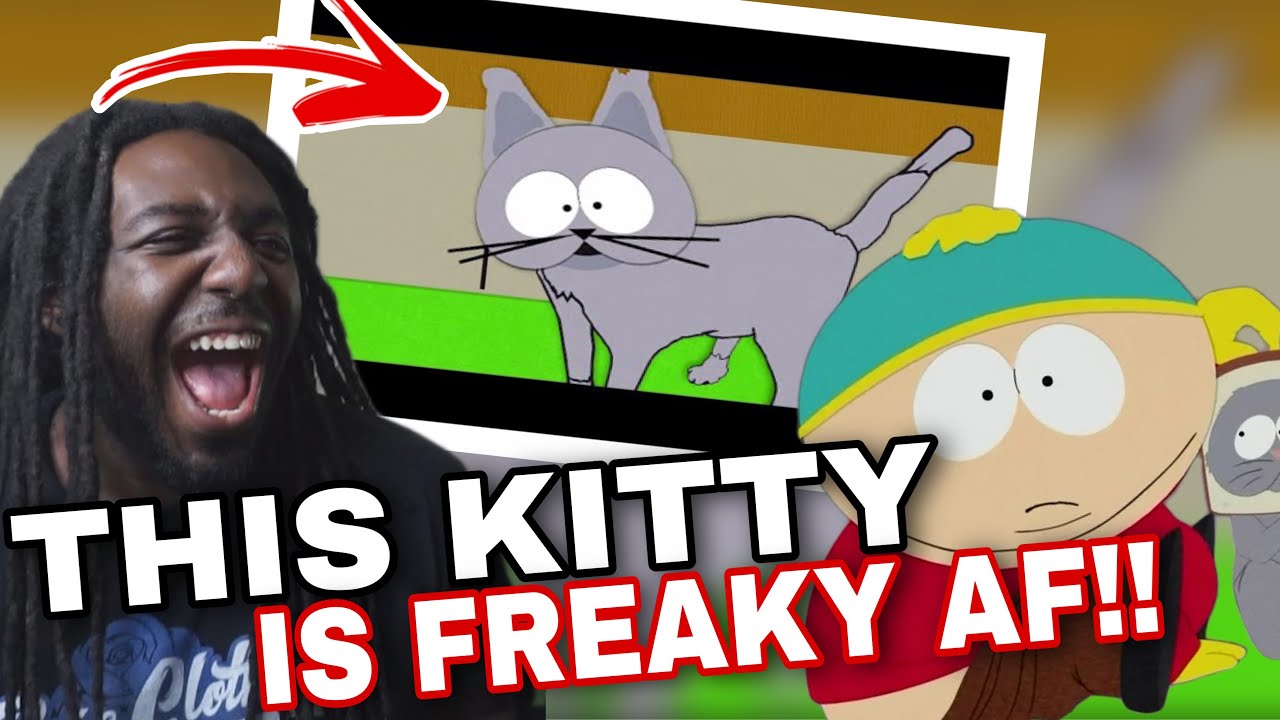 Mr.Kitty Best Moments! South Park @SouthParkBRUH - YouTube
