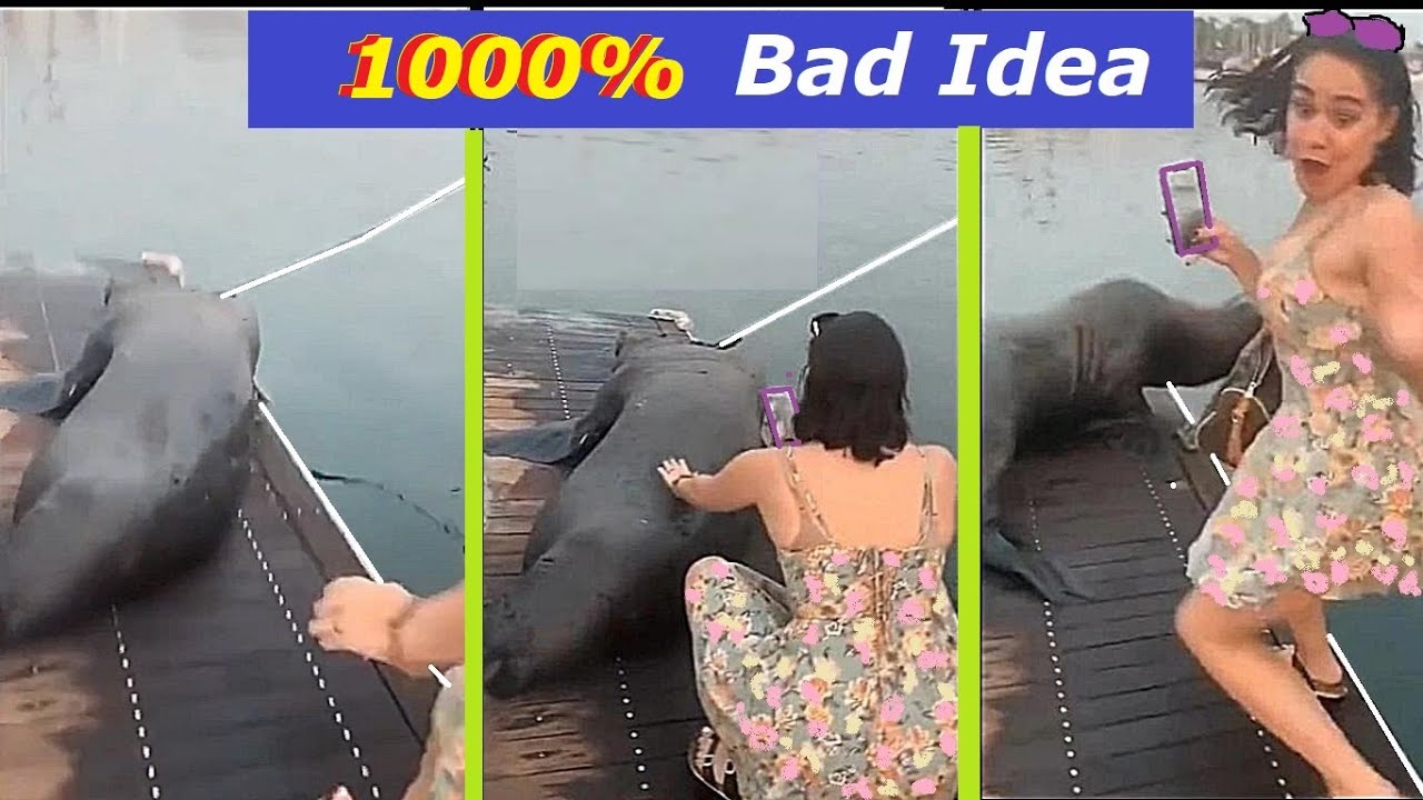 Oh no | 12 unexpected bad ideas | can happen L.O.L. - YouTube