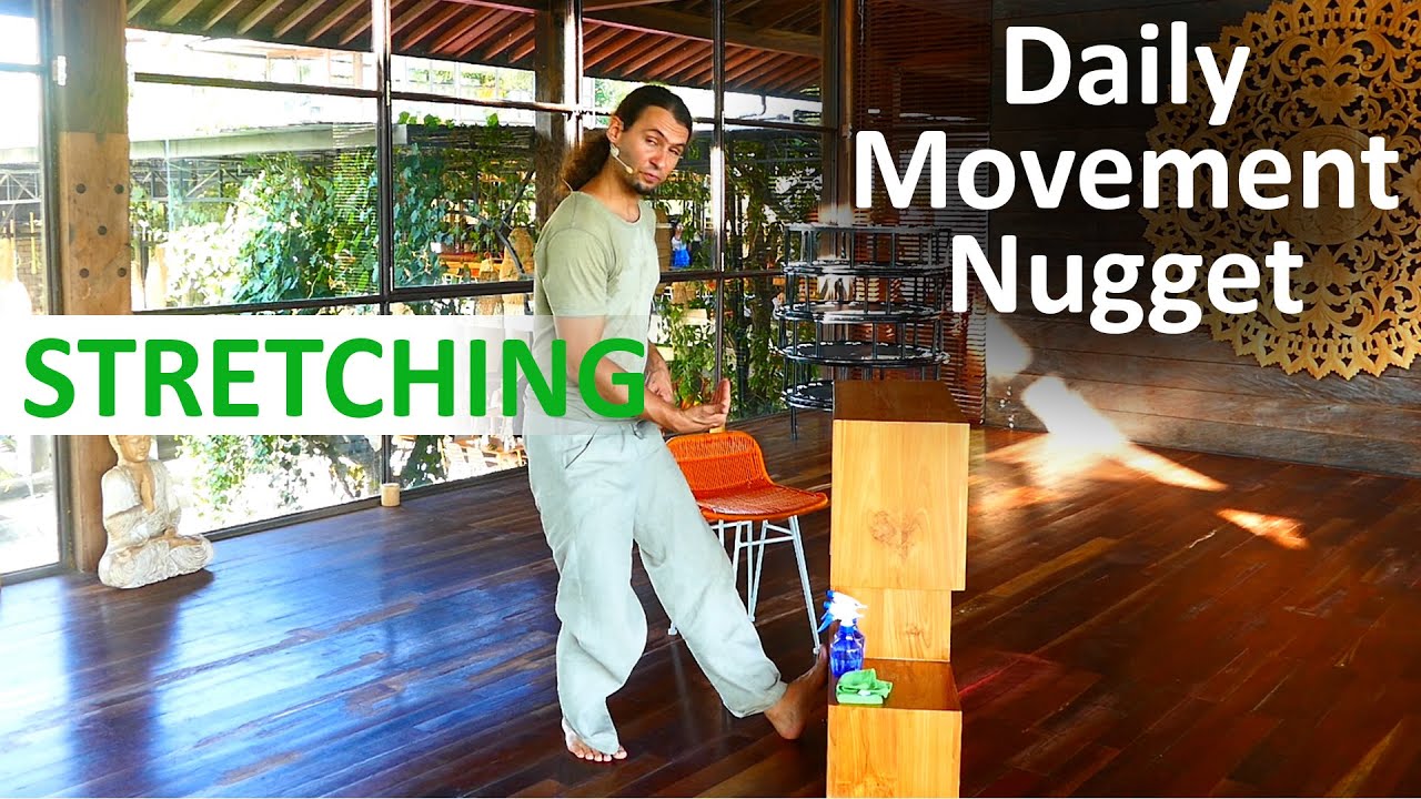 Daily Natural Movement - Enrichment Nugget - Stretching - YouTube