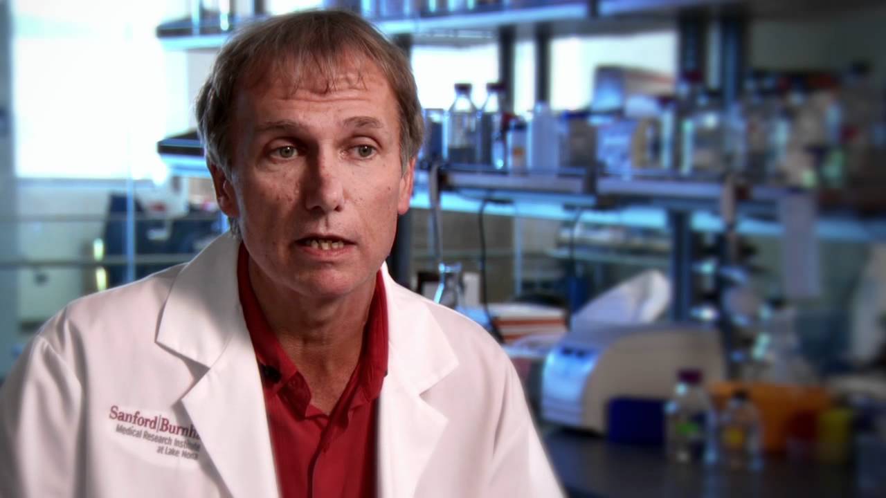 Timothy Osborne, Ph.D. - YouTube