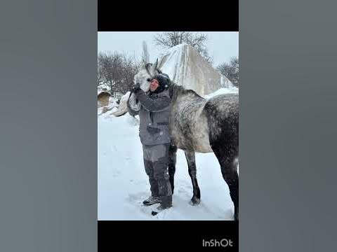 Султанчик на прогулке # - YouTube