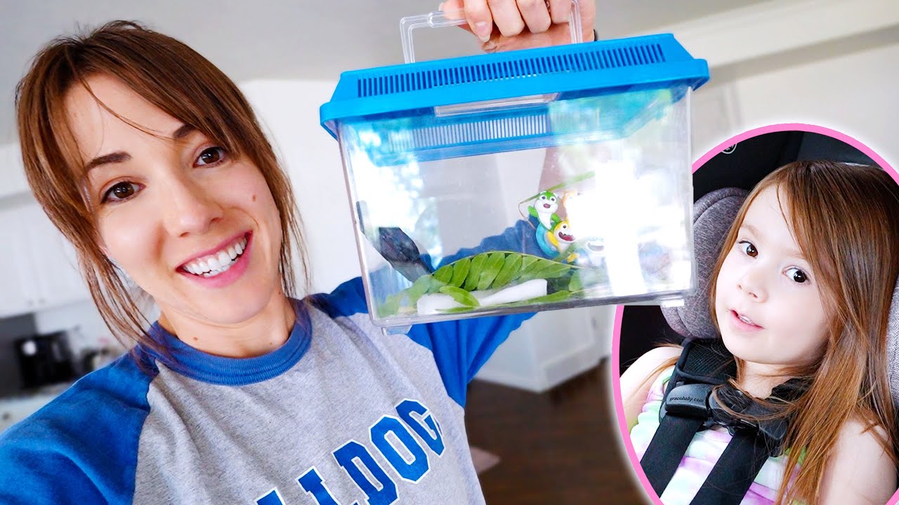 A New Pet And New Haircuts YouTube a-new-pet-and-new-haircuts-youtube