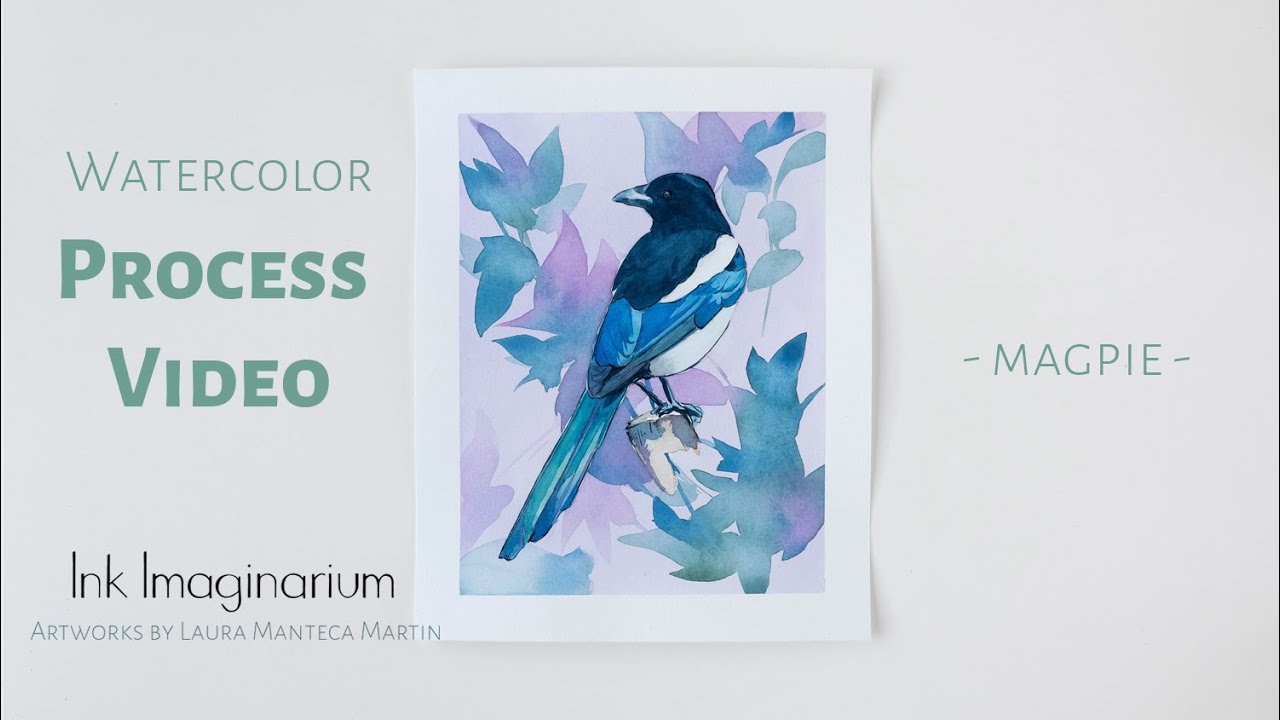 Magpie watercolor painting in blues and violets. Time lapse creation ...