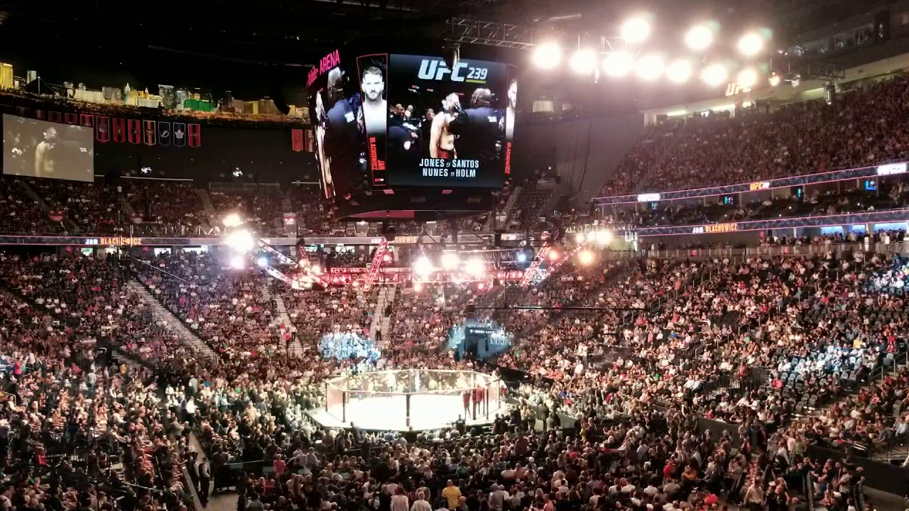 UFC 239 - Jan Blachowicz walkout @ T-Mobile Arena - YouTube