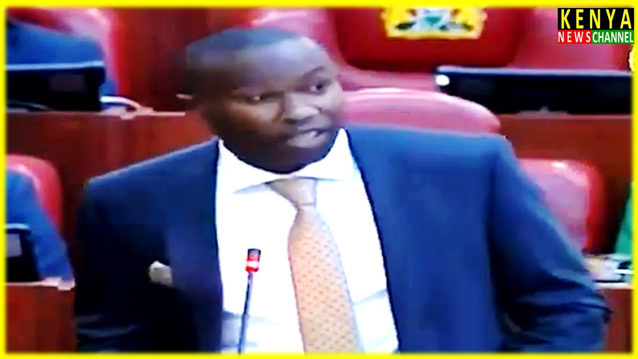 New Kiambaa MP KaWanjiku first speech in parliament impressed even ODM ...