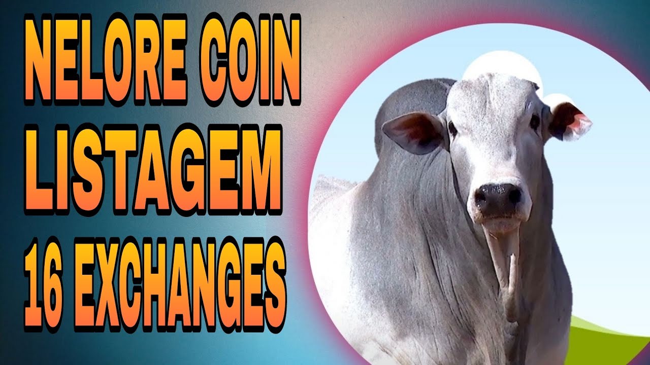 NLC NELORE COIN TOKEN EM MAIS 16 EXCHANGES? - YouTube