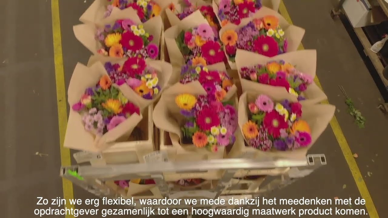 Melle Jongkind Bedrijfsfilm uitgebreid - YouTube