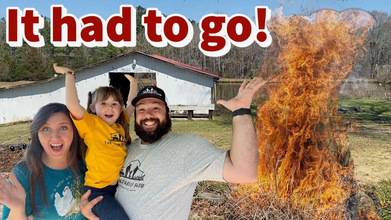 Extreme Landscaping Methods and What is Egg Bloom? - YouTube