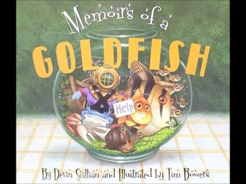 Memoirs of a Goldfish - YouTube