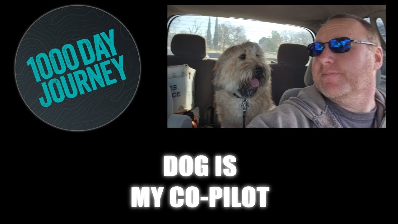 1000 Day Journey 0606 Dog is My Copilot - YouTube