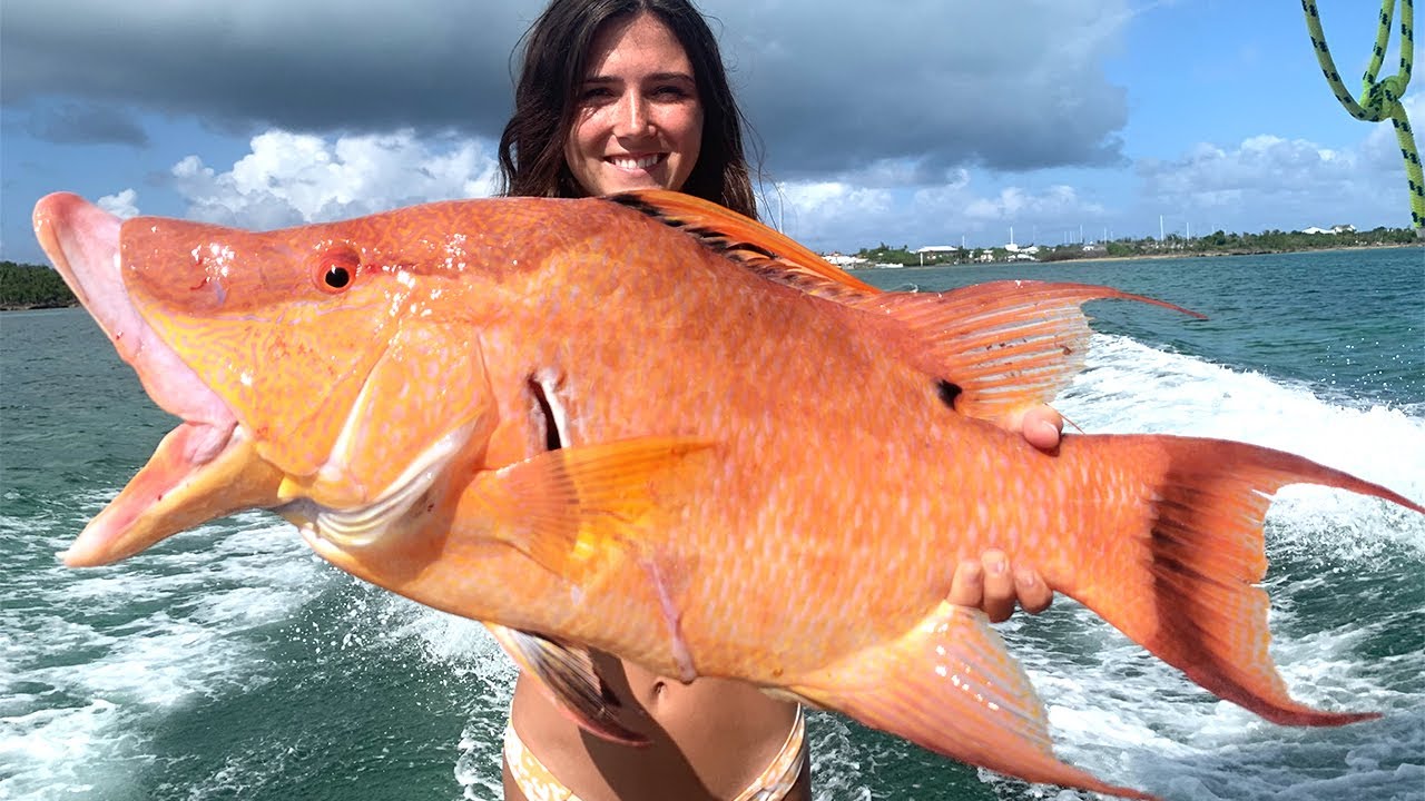 Spearfishing GIANT Hogfish and Grouper in the Bahamas! Catch Clean Cook - YouTube