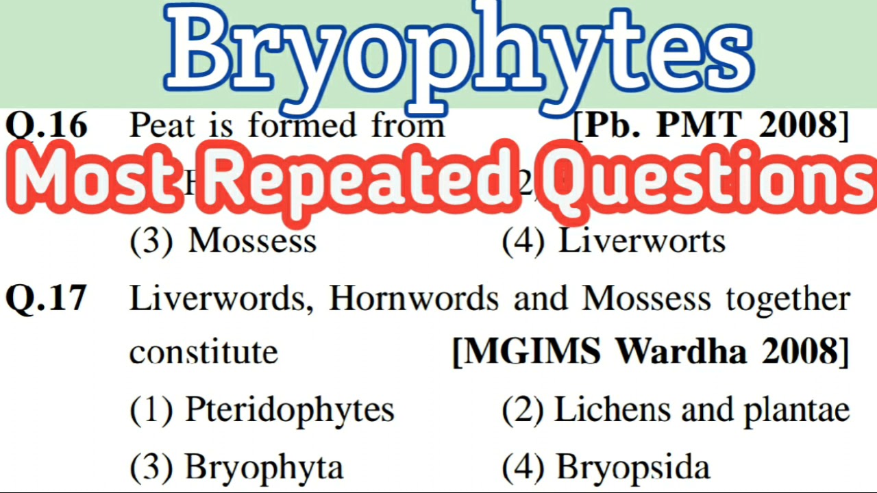 Bryophytes Bryophytes Mcq Plant Kingdom Mcq Most Repeated bryophytes-bryophytes-mcq-plant-kingdom-mcq-most-repeated