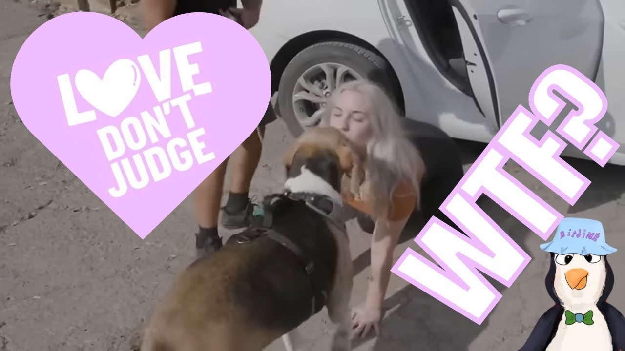 Girlfriend Pretends To Be A Dog? (Love Don’t Judge) - YouTube