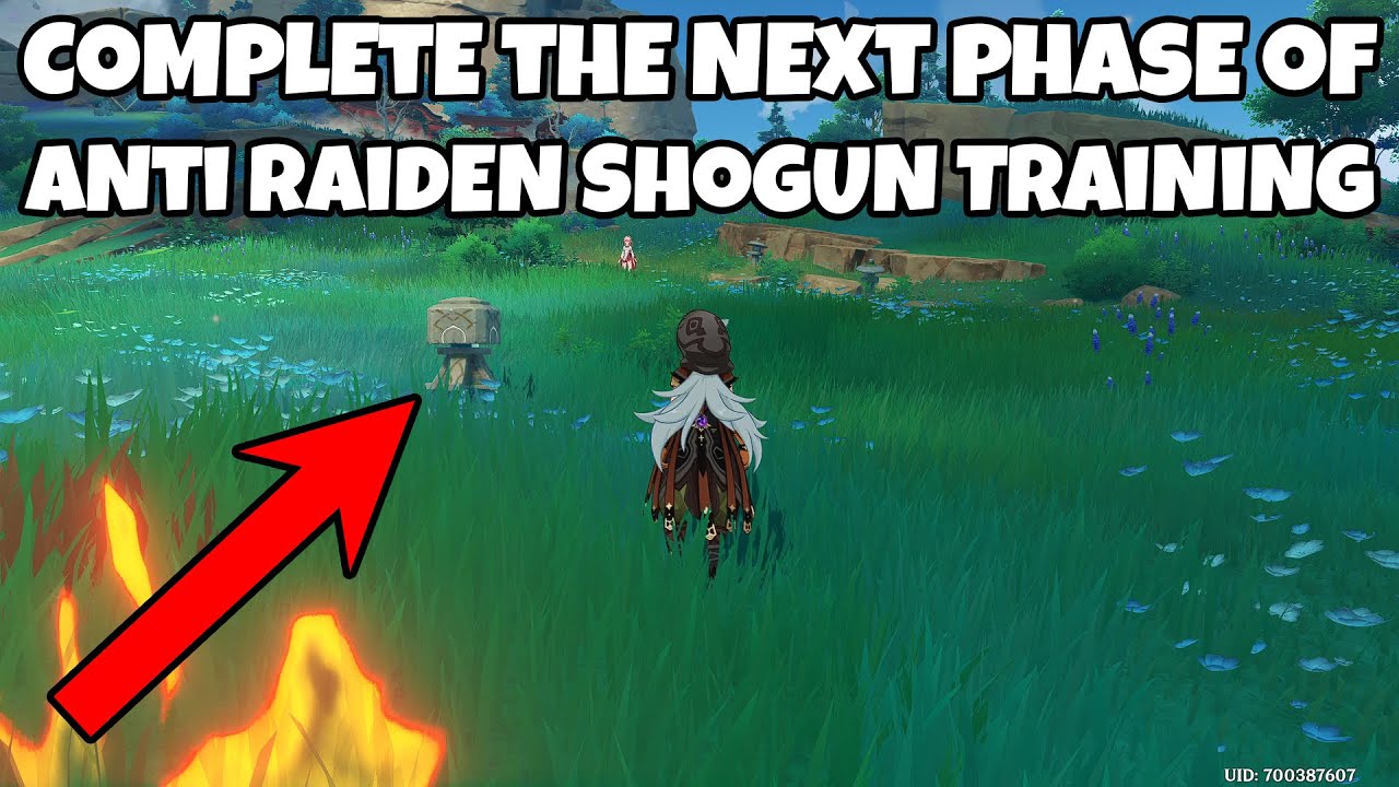 Complete the next phase of your Anti-Raiden Shogun Training | Genshin ...
