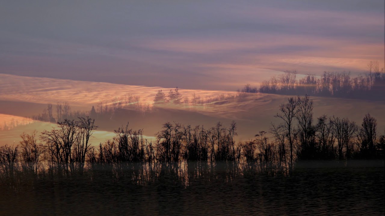 Fraser River Sunset Walk - April 6, 2020 - YouTube