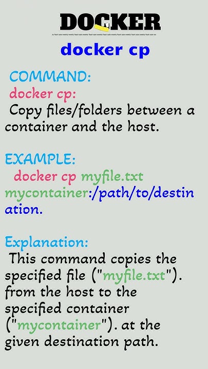 Docker Command -24 | docker cp | DevOps Training | Preethi DevOps - YouTube