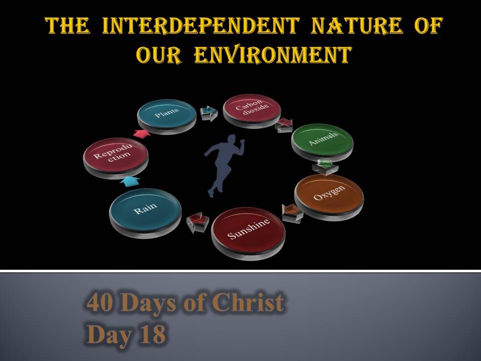 The Interdependent Nature of our Environment - YouTube