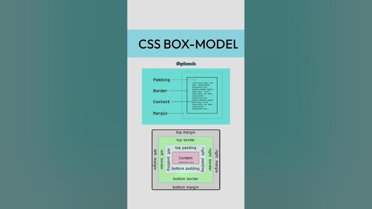 Css Box Model Cssboxmodel Cssborder Csstutorial Css Youtube