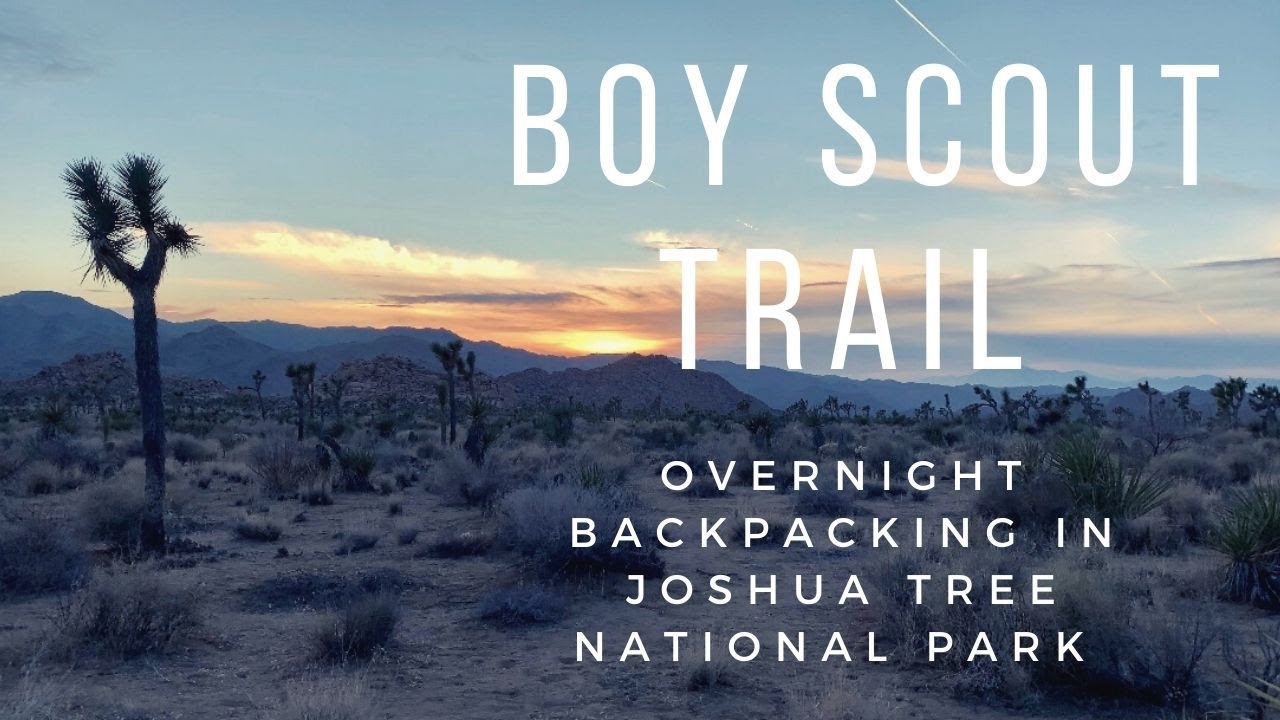Overnight Backpacking at Boy Scout Trail in Joshua Tree NP - YouTube