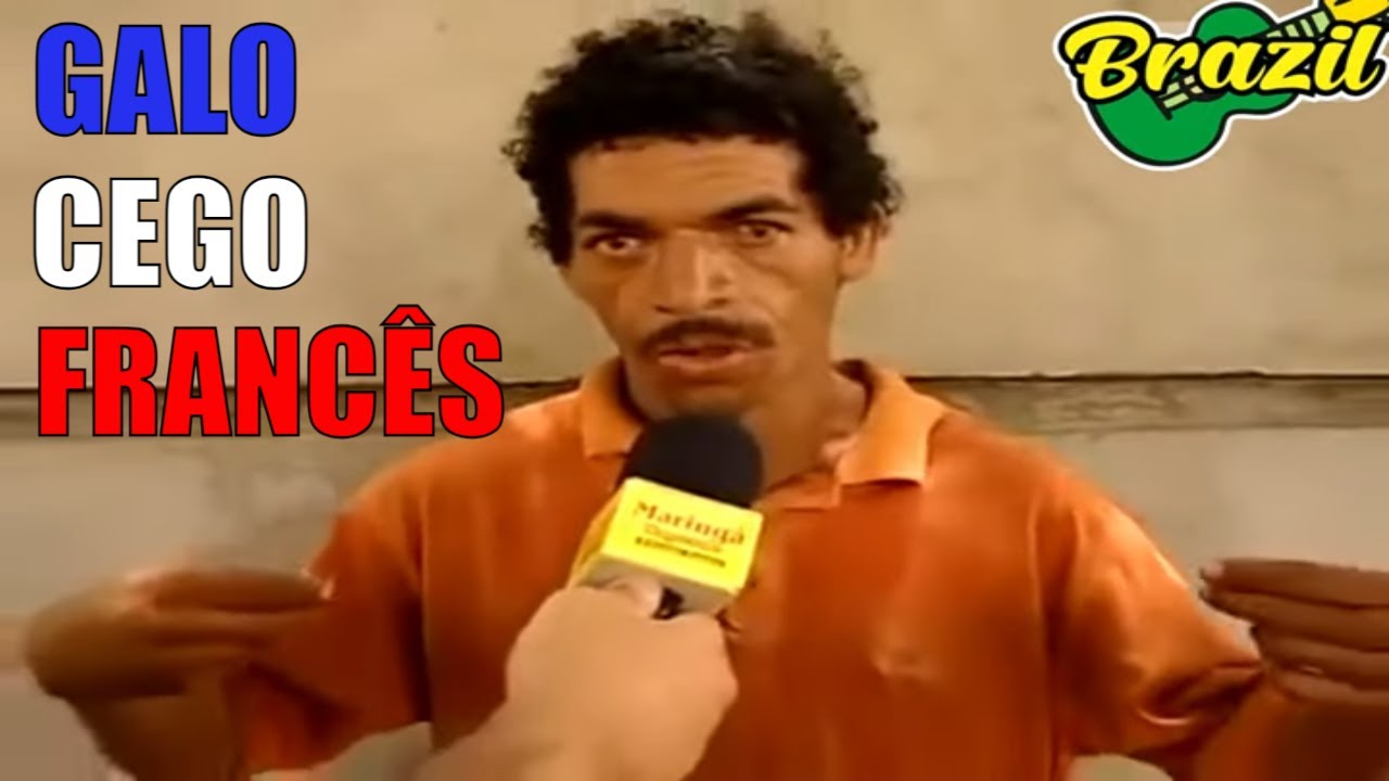 Galo cego francês #viral #viralvideo | memes, tente não rir - YouTube