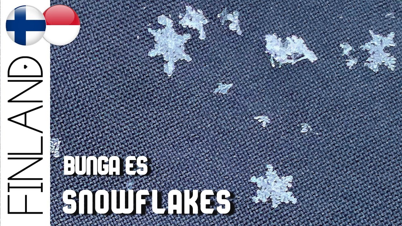 BERBAGAI BENTUK BUNGA ES HUJAN SALJU | SNOWFLAKES | VLOG YOUTUBER ...