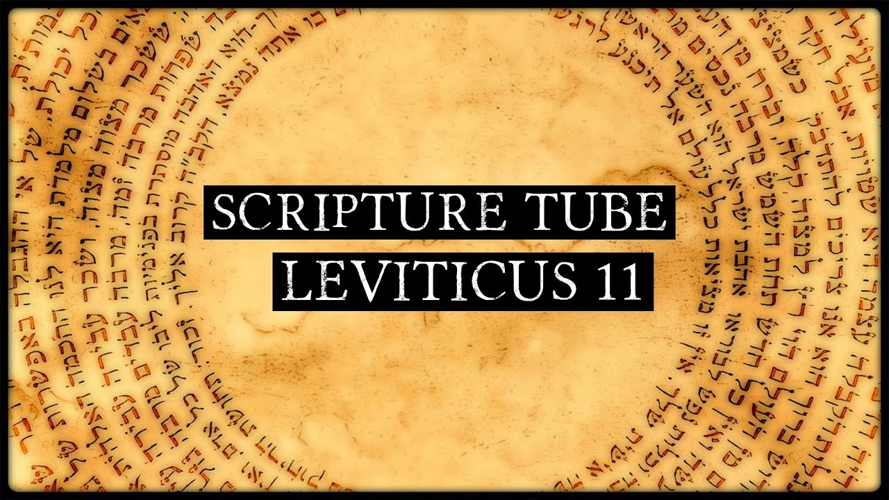 LEVITICUS CHAPTER 11 - YouTube