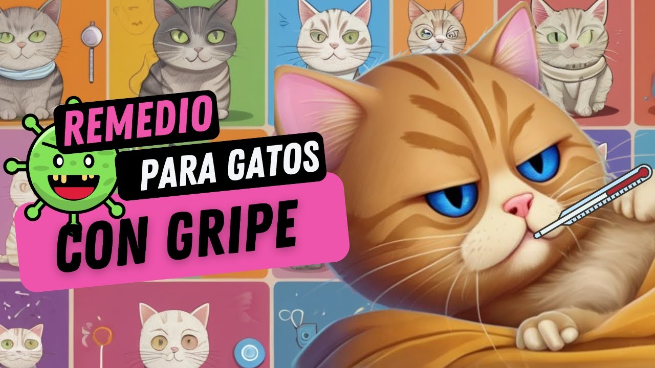 🤒 Como CURAR a mi gato con gripe 😿🤧 Remedios Caseros - YouTube