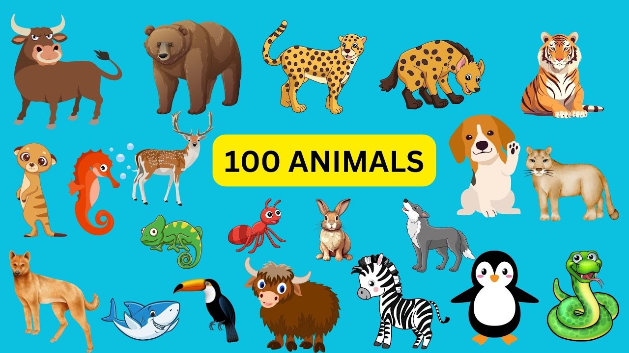 Wild and Wonderful: Meet 100 Animals from Around the World! - YouTube
