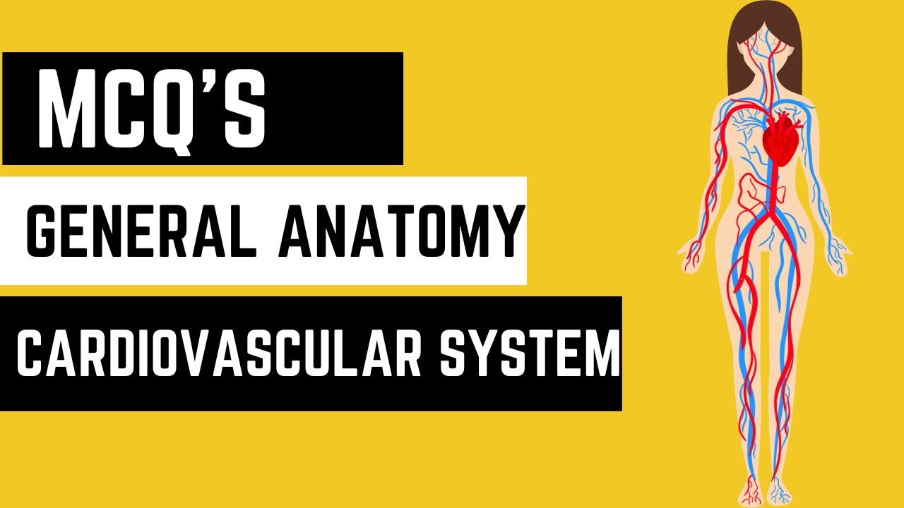 CARDIOVASCULAR SYSTEM | BD Chaurasia General Anatomy | MCQS # ...