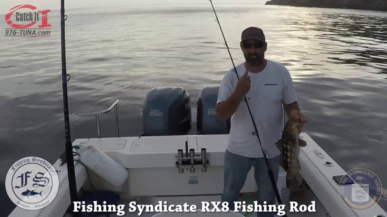 Fishing Syndicate RX8 Rod Meets Calico Bass - YouTube