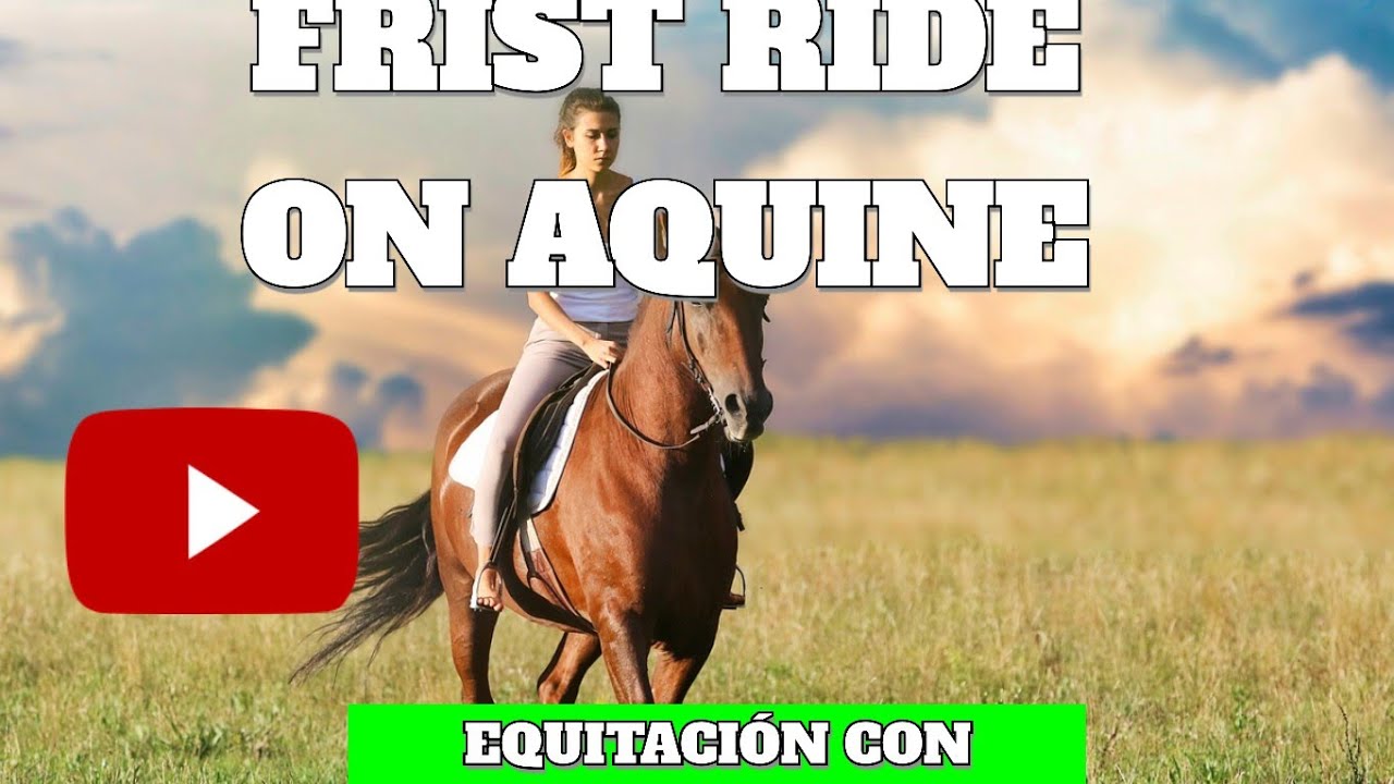 Frist time Horse Riding Grooming, tacking up, - YouTube