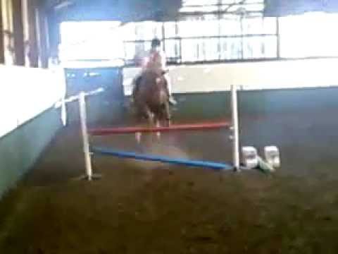 Me and Klio jumping 1m @ Bargower Riding School - YouTube