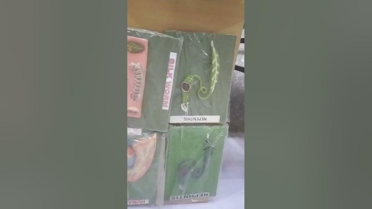 Science In Hindi In Science Collage Science viral india shoer science-in-hindi-in-science-collage-science-viral-india-shoer