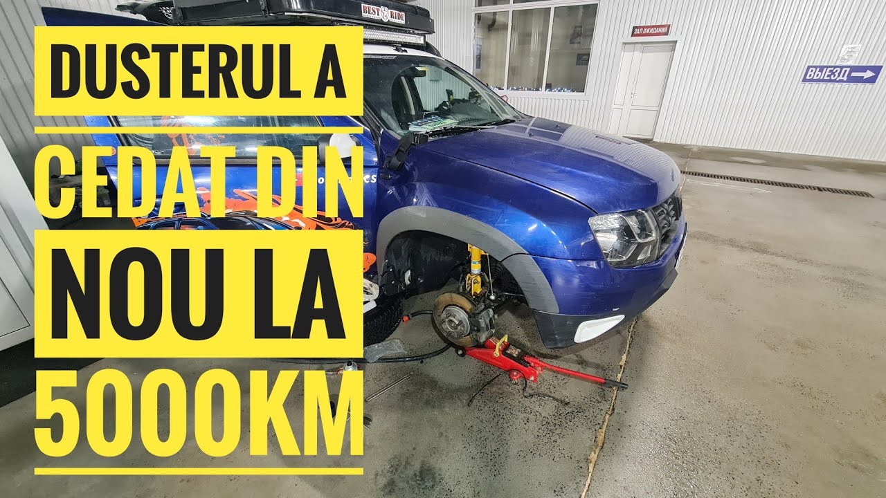 Ep.15💥Taigaua Ruseasca-Zimbri din Parcul National Orlovskoye Polesye ...