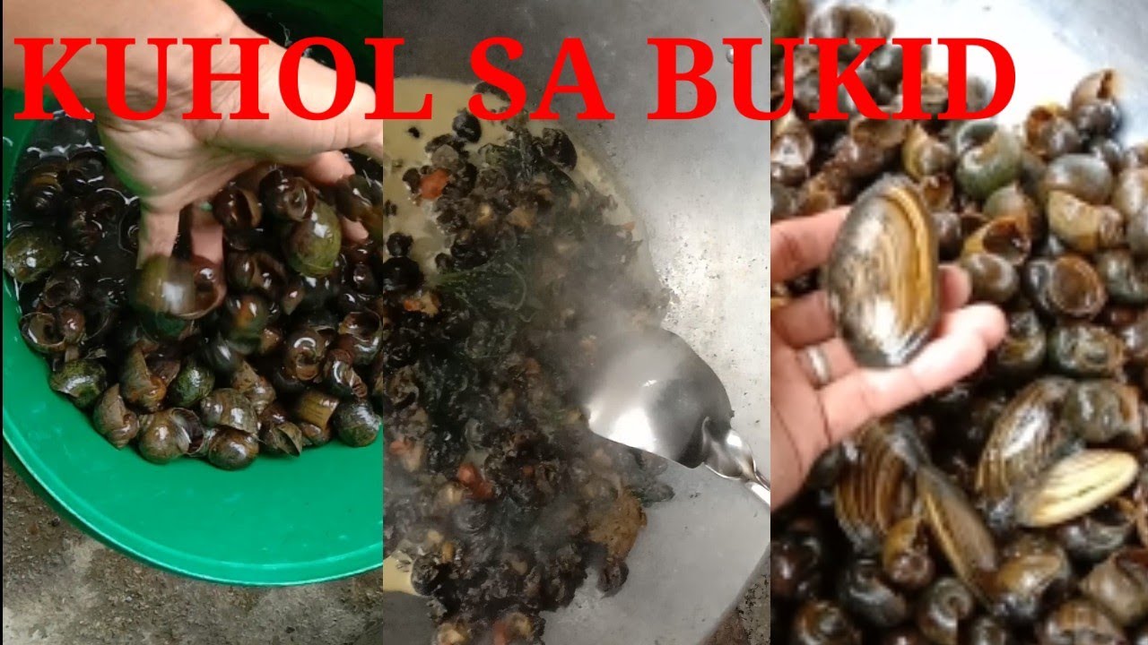"GUINATAANG KUHOL" 🐚 #KUHOL - YouTube
