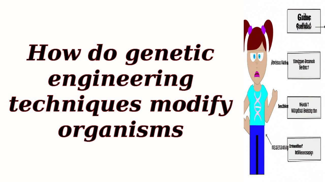 How do genetic engineering techniques modify organisms? - YouTube
