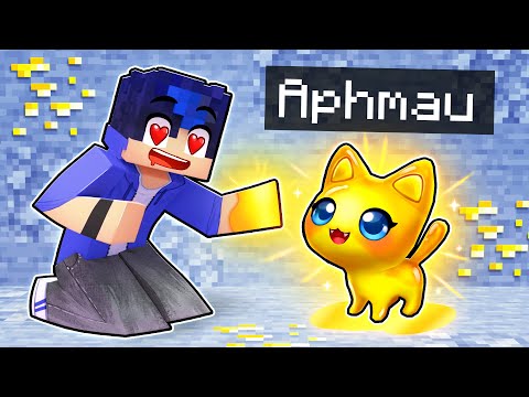 Playing Minecraft as a HELPFUL Golden Kitten!