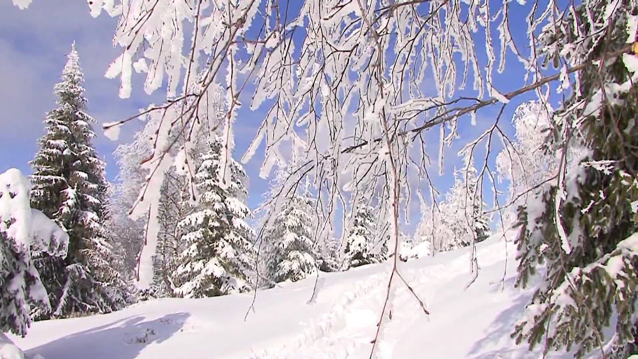Hotel Cristalin - Ski in Arieseni - Cazare Arieseni - video by www.av ...