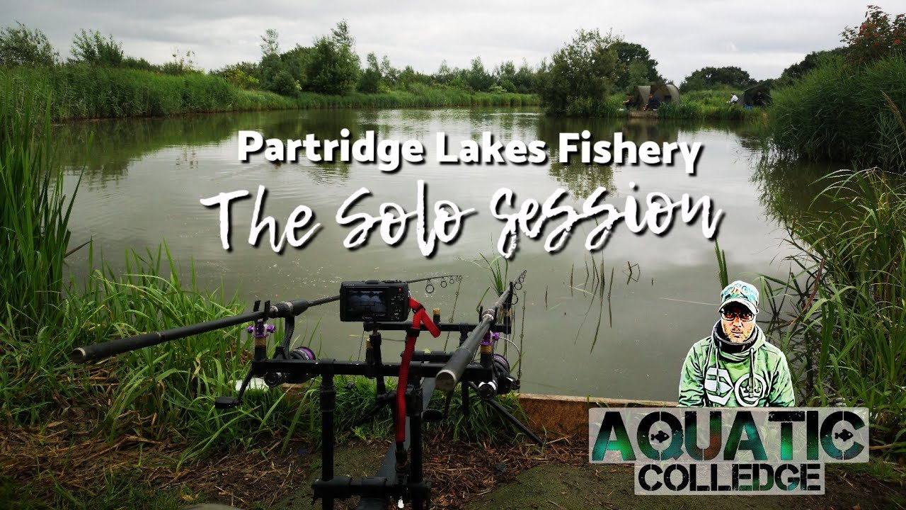 Partridge Lakes Fishery - July Solo Session - YouTube