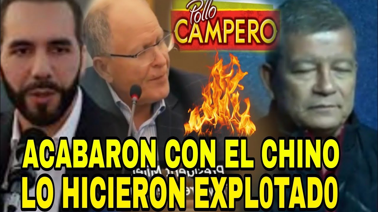 DUEÑO DEL POLLO CAMPERO Y BUKELE HACEN LL0RAR A GRIT0S A EL CHINO ...