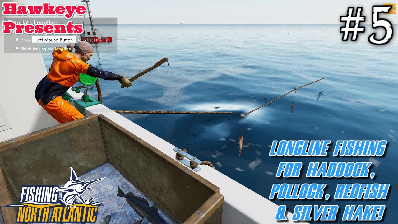 Fishing: North Atlantic: #5 - Longline Fishing for Haddock, Pollock ...