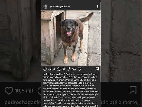 9 de fevereiro de 2026