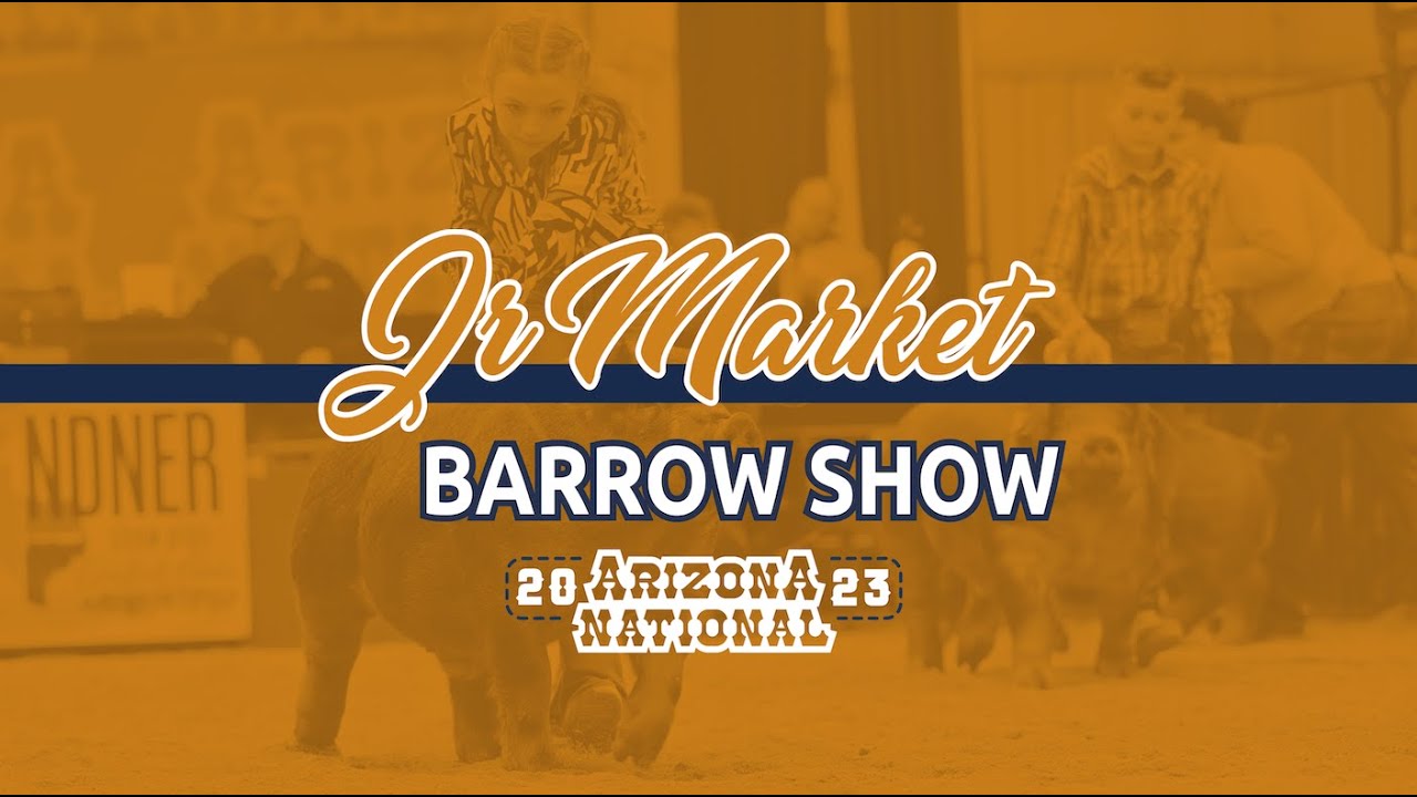 Junior Market Barrow Show 2 - YouTube